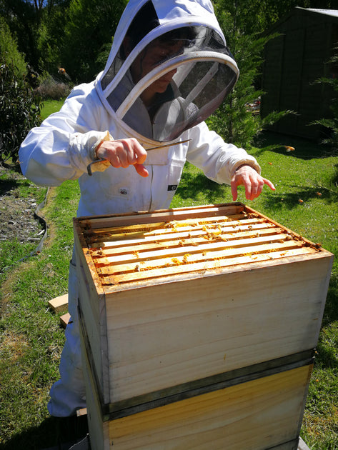 Perfect Day For The Bees – Garston Hunny Shop