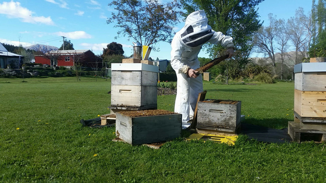 Winter Food For Our Honey Bees – Garston Hunny Shop