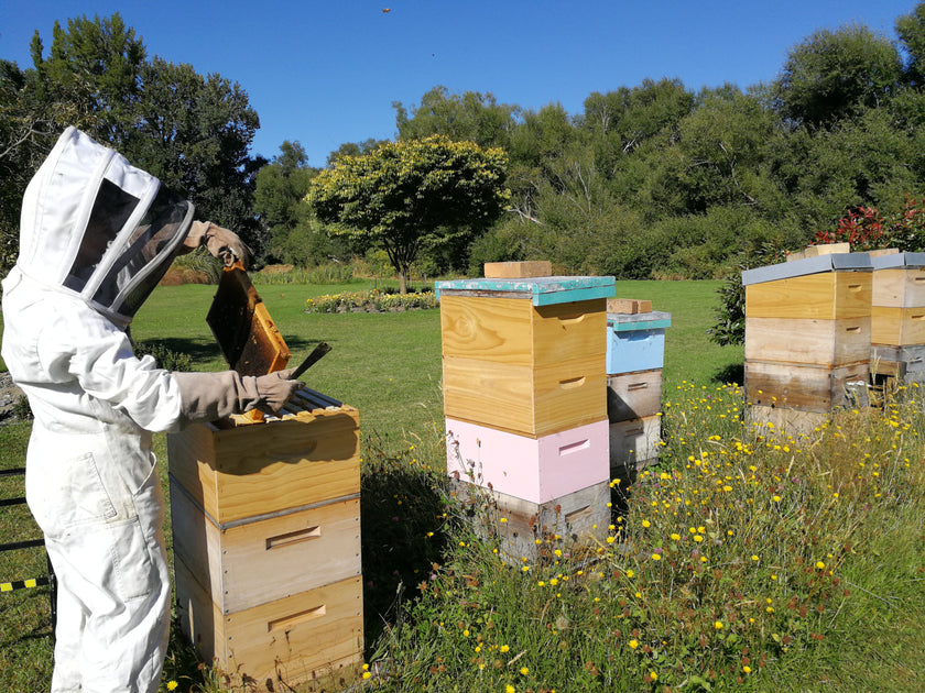 Extracting Honey – Garston Hunny Shop